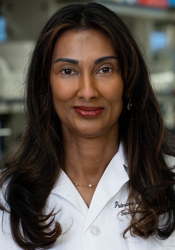 Padmanee Sharma | MD Anderson Cancer Center