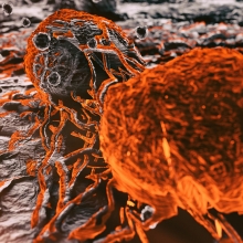 John V. Heymach | MD Anderson Cancer Center