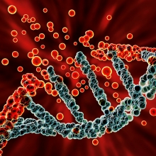 David S Hong | MD Anderson Cancer Center