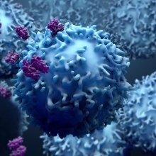 Timothy A. Yap | MD Anderson Cancer Center