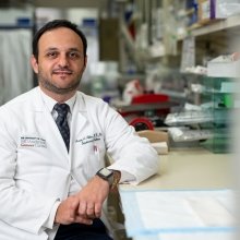 Hussein A. Abbas | MD Anderson Cancer Center