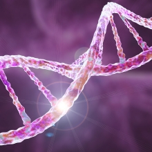 John Slopis, M.D. - Neuro-Oncology Faculty | MD Anderson Cancer Center