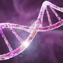 John Slopis, M.D. - Neuro-Oncology Faculty | MD Anderson Cancer Center