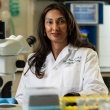 Padmanee Sharma | MD Anderson Cancer Center