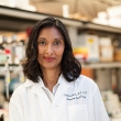 Padmanee Sharma | MD Anderson Cancer Center