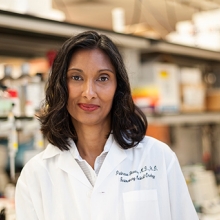 Padmanee Sharma | MD Anderson Cancer Center