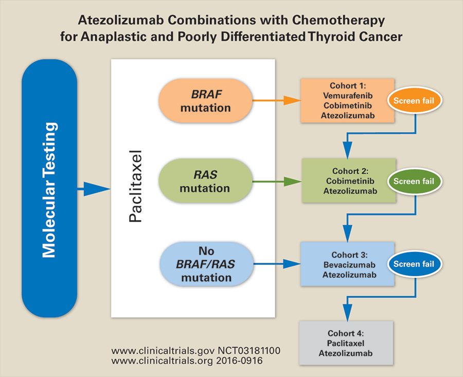Maria E. Cabanillas, M.D., Oncologic Endocrinologist | MD Anderson ...