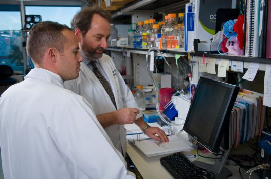 Robert Z. Orlowski | MD Anderson Cancer Center